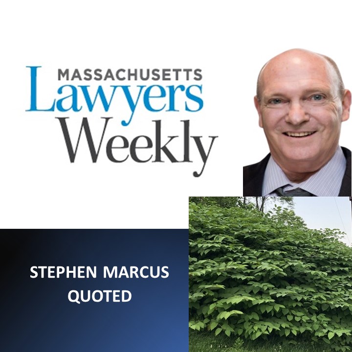 MIDDLESEX JUDGE, JURY RENDER FIRST KNOWN DECISIONS ON JAPANESE KNOTWEED ...